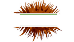 Burr Paw - A Mitten Designed for Fast and Effective Removal of Burrs!